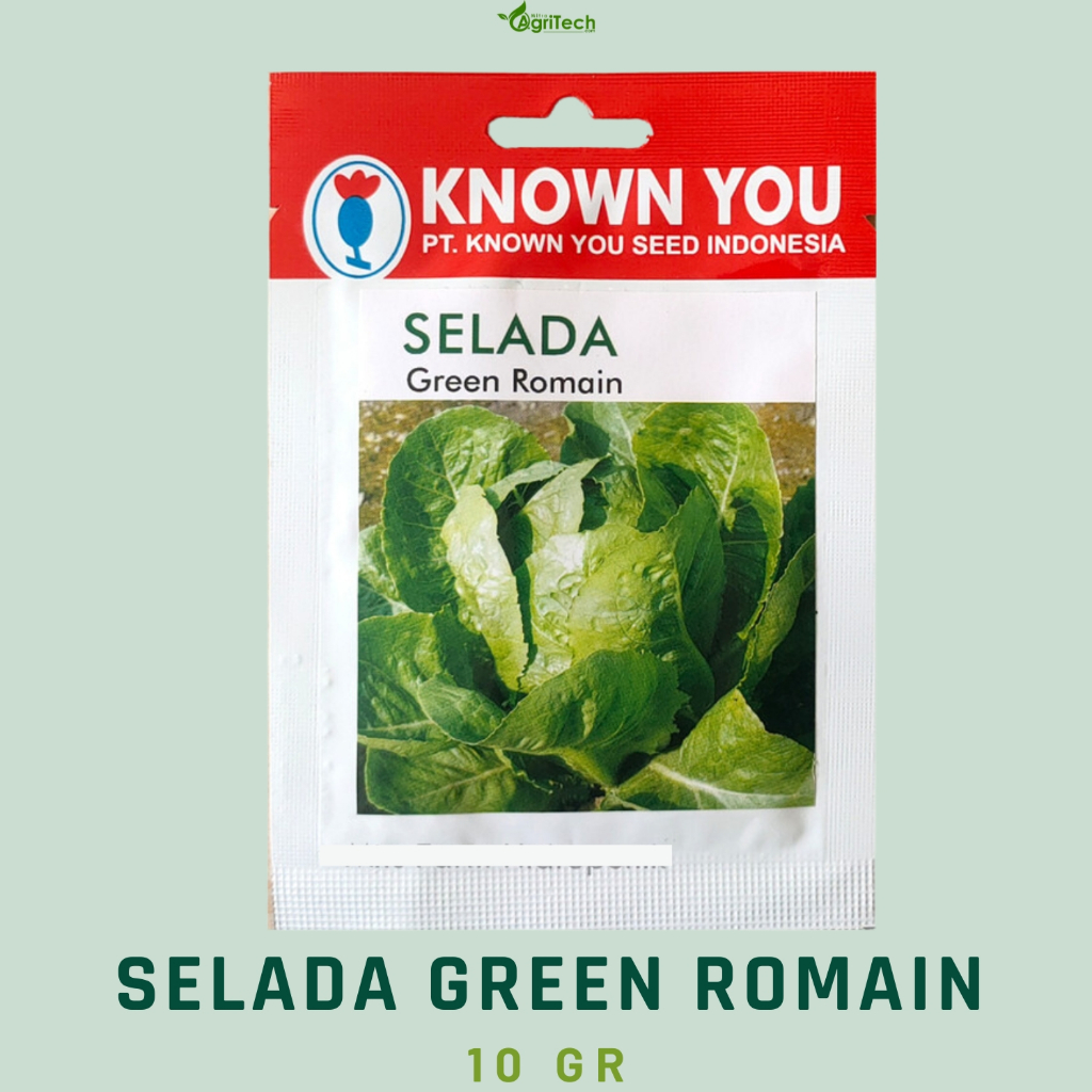 Jual BENIH BIBIT SELADA GREEN ROMAINE 5 GR SMALL PACK KNOWN YOU SEED | Shopee Indonesia