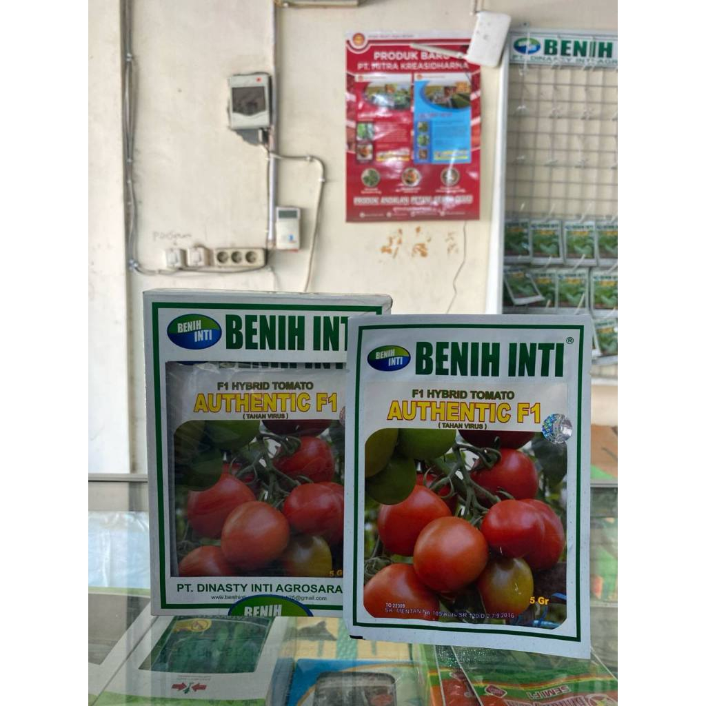 Jual Benih Tomat Authentic F1 hibrida 5gr Tahan Virus Benih Inti ...