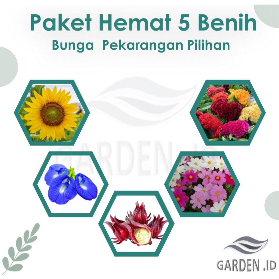 Jual Bibit Bunga Pekarangan Paket 5 Macam Benih Bunga Tanaman Hias ...