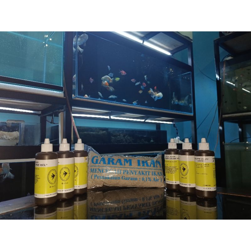 Jual Paket Obat Ikan Acriflavine hcl 100ml Dan Garam Ikan 500Gram ...