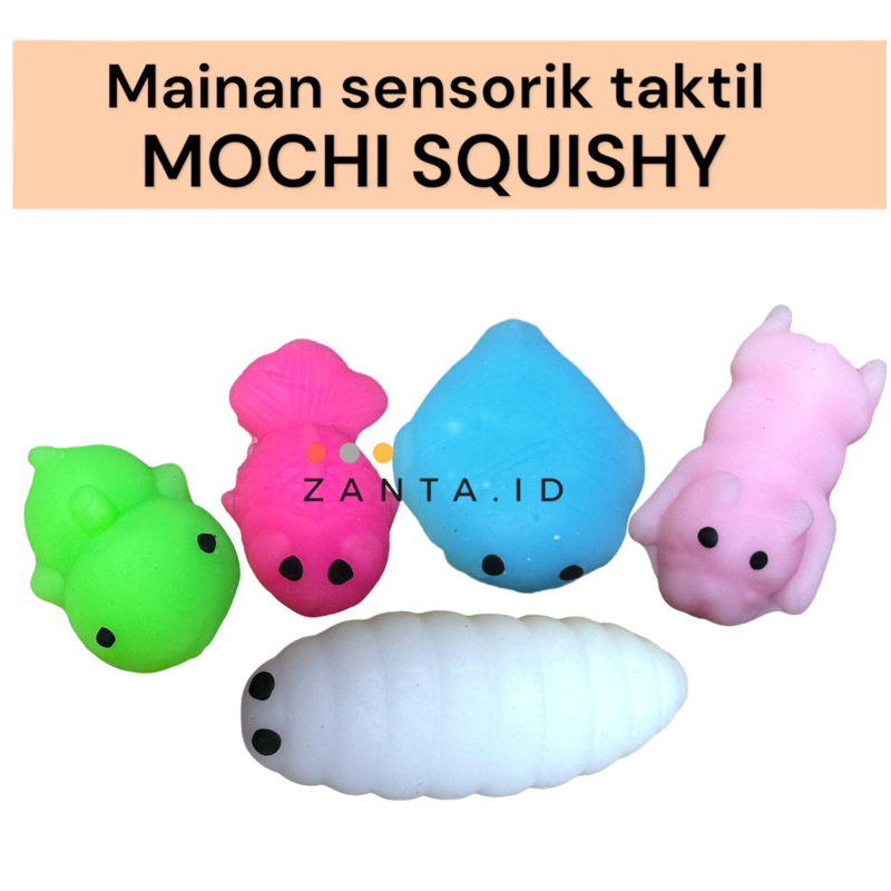 Jual Squishy Mochi Mainan Edukasi Sensorik Play Taktil dan Propioseptif ...