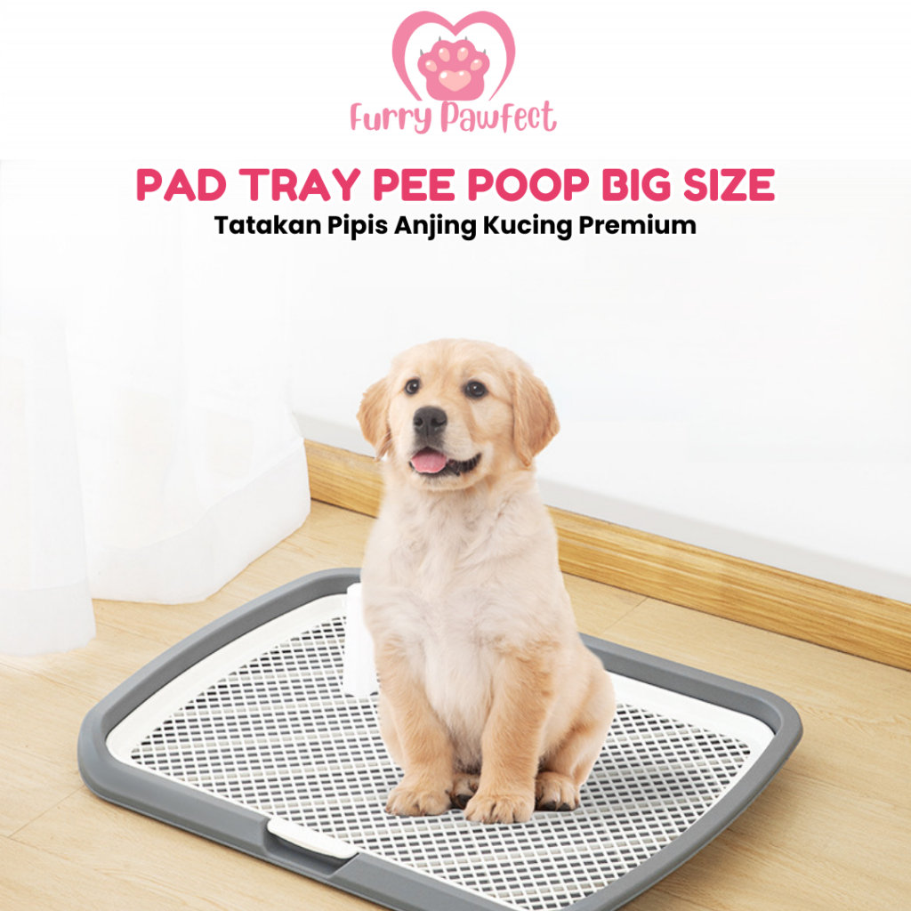 Jual PREMIUM PET TOILET - Tatakan Pipis Anjing Kucing / Hewan ...