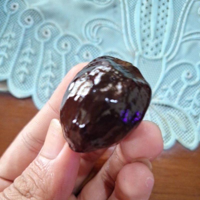 Jual MUNCANG ADU JENIS PANJANGAN JAWA ORI WONOSOBO | Shopee Indonesia