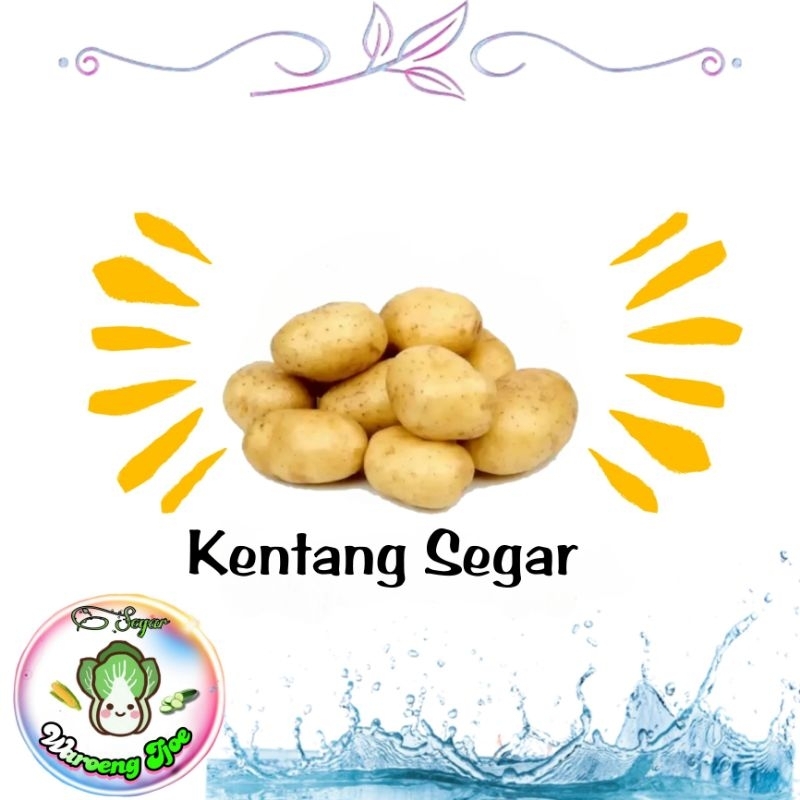 Jual Kentang Besar segar | Kentang Kecil segar ( ada kulitnya ...
