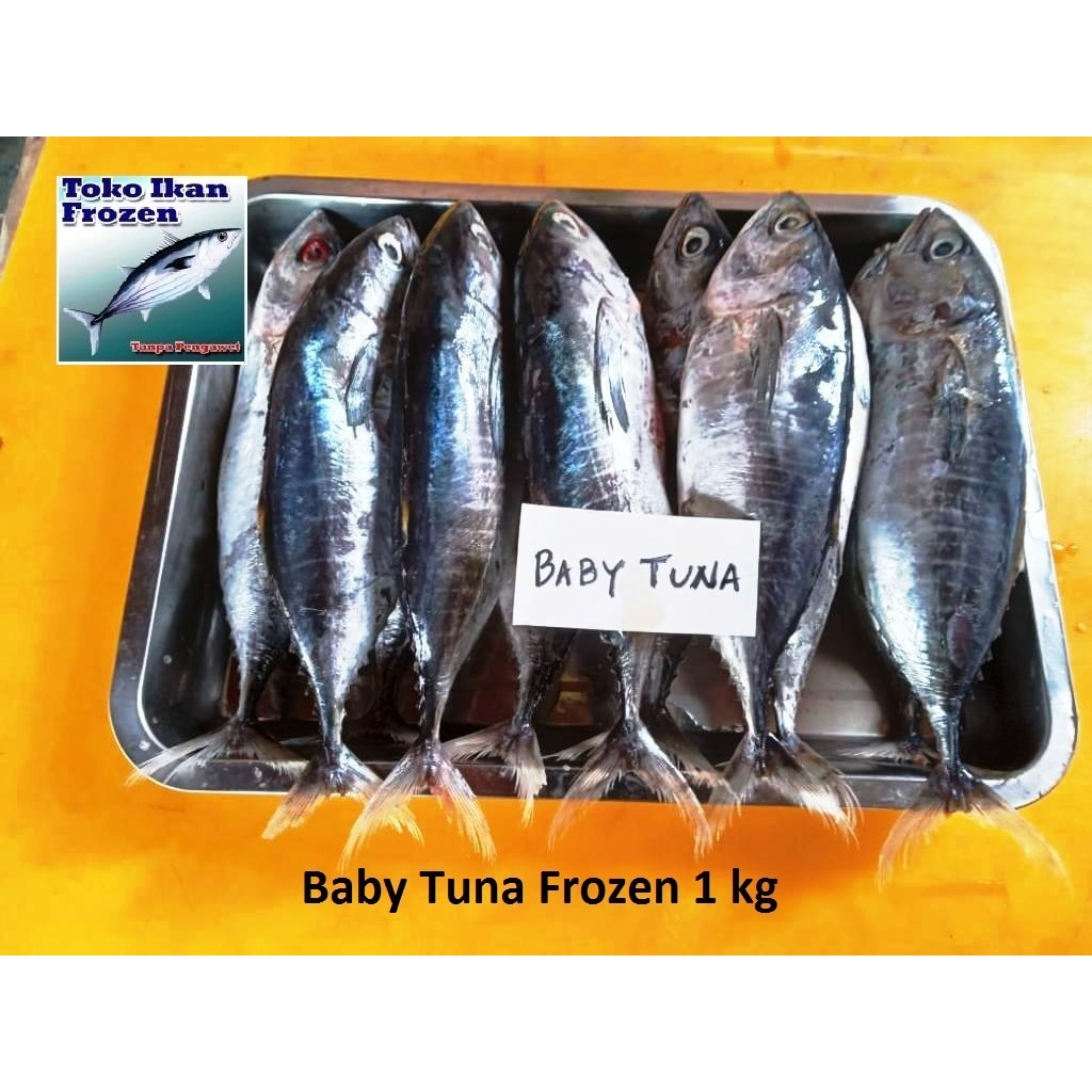 Jual IKAN BABY TUNA Segar Beku / Frozen Fresh / 1 kg | Shopee Indonesia