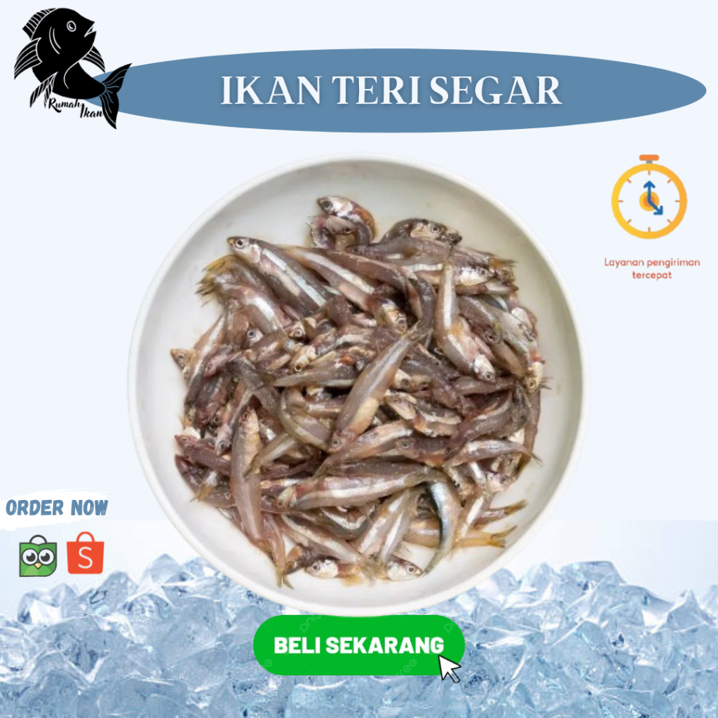 Jual Ikan Teri Basah/Teri Galer Segar 1Kg | Shopee Indonesia
