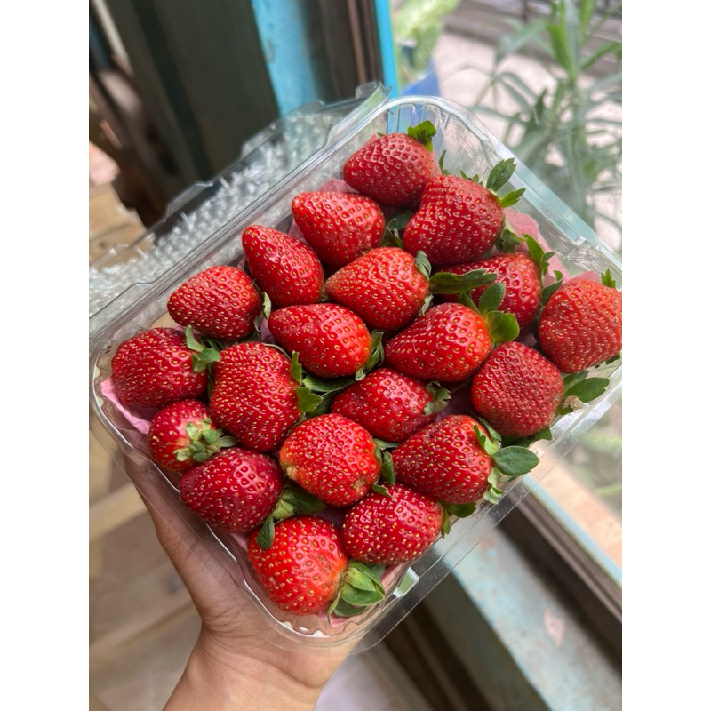 Jual strawberry 1 kg ukuran AB (besar campur sedang) | Shopee Indonesia
