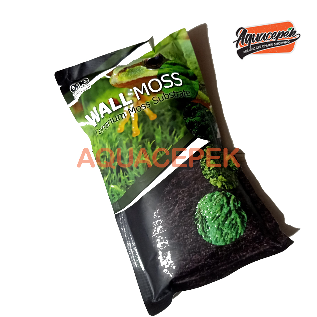 Jual WALL MOSS TERRARIUM SOIL SUBSTRATE MEDIA TANAM PALUDARIUM | Shopee Indonesia