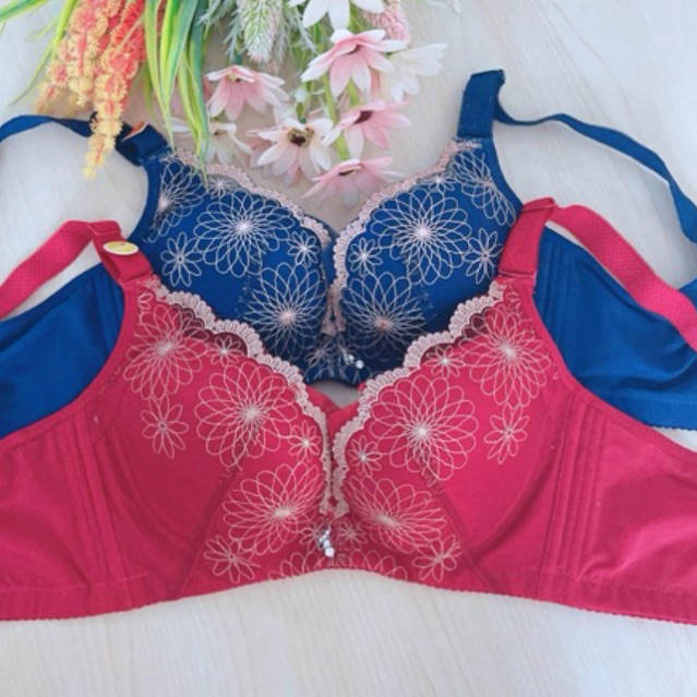 Jual Bra (K-B19) Pakaian dalam wanita full bra super soft | Shopee ...