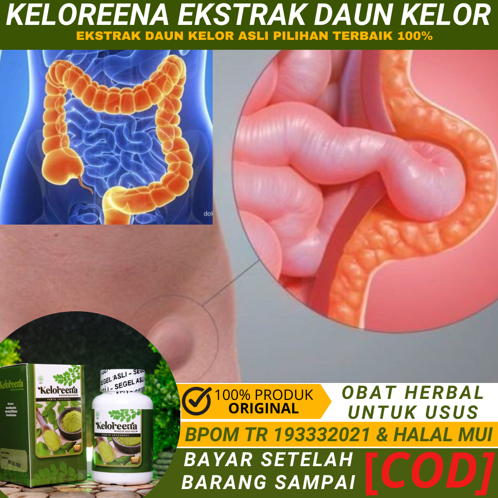 Jual Obat Herbal Untuk Usus Buntu, Obat Usus Turun, Obat Usus Infeksi ... Jual Obat Herbal Untuk Usus Buntu, Obat Usus Turun, Obat Usus Infeksi ...