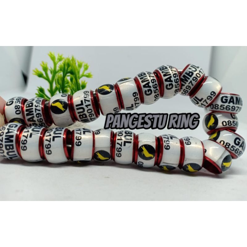 Jual RING MERPATI DEWASA DONAT D'PRINTZ PUTIH LIS MERAH LUBANG 9MM BISA ...