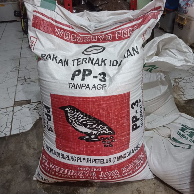 Jual PP3 5kg-PAKAN PUYUH PETELUR | Shopee Indonesia
