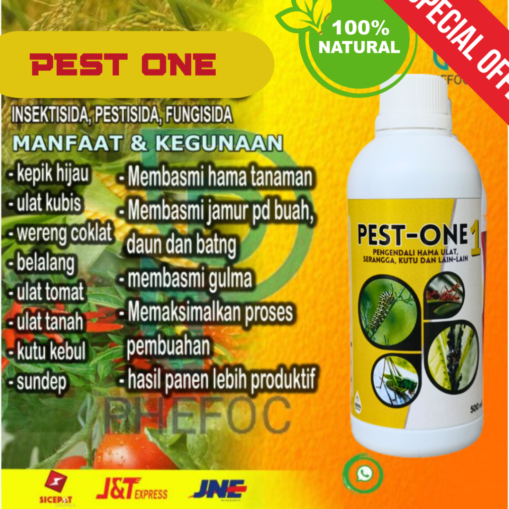 Jual PEST ONE Pestisida Insektisida Fungisida Organik Obat Pembasmi ...