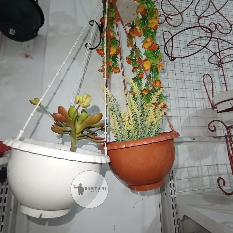 Jual Pot Gantung KB Glory Ukuran 20 Shallom | Shopee Indonesia