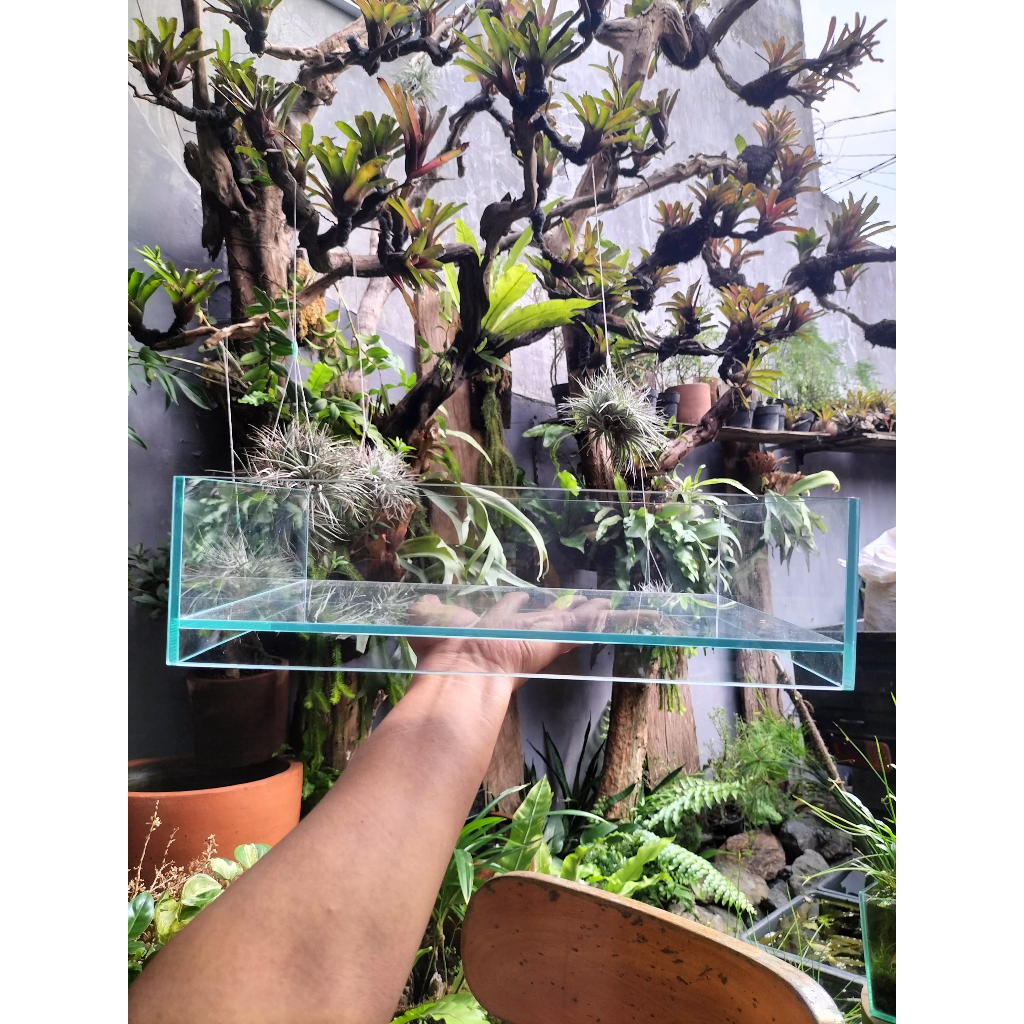 Jual A100 SHALLOW GLASS TERRARIUM VIVARIUM PALUDARIUM TANK AQUARIUM ...