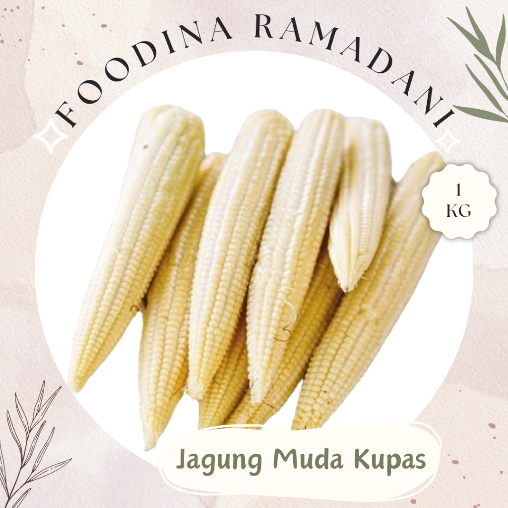 Jual JAGUNG MUDA Kupas - Baby Corn Fresh [ Berat 1.000gr ] Harga Per KG ...