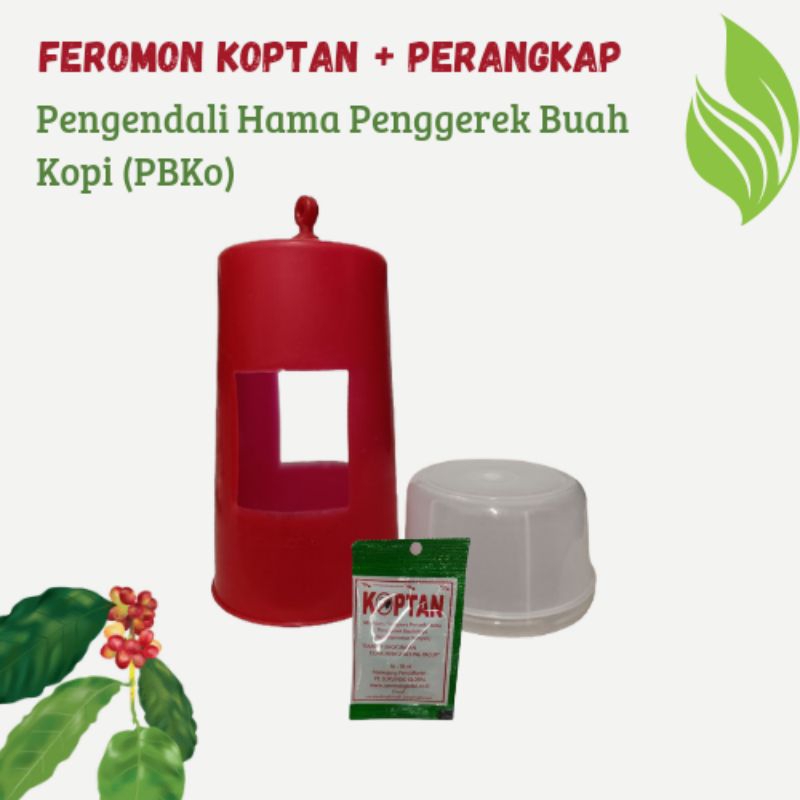 Jual Perangkap PBKo Pengendali Hama Penggerek Buah Kopi Koptan | Shopee ...