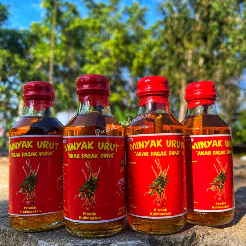 Jual Minyak Urut Akar Pasak Bumi 150 ml | Shopee Indonesia