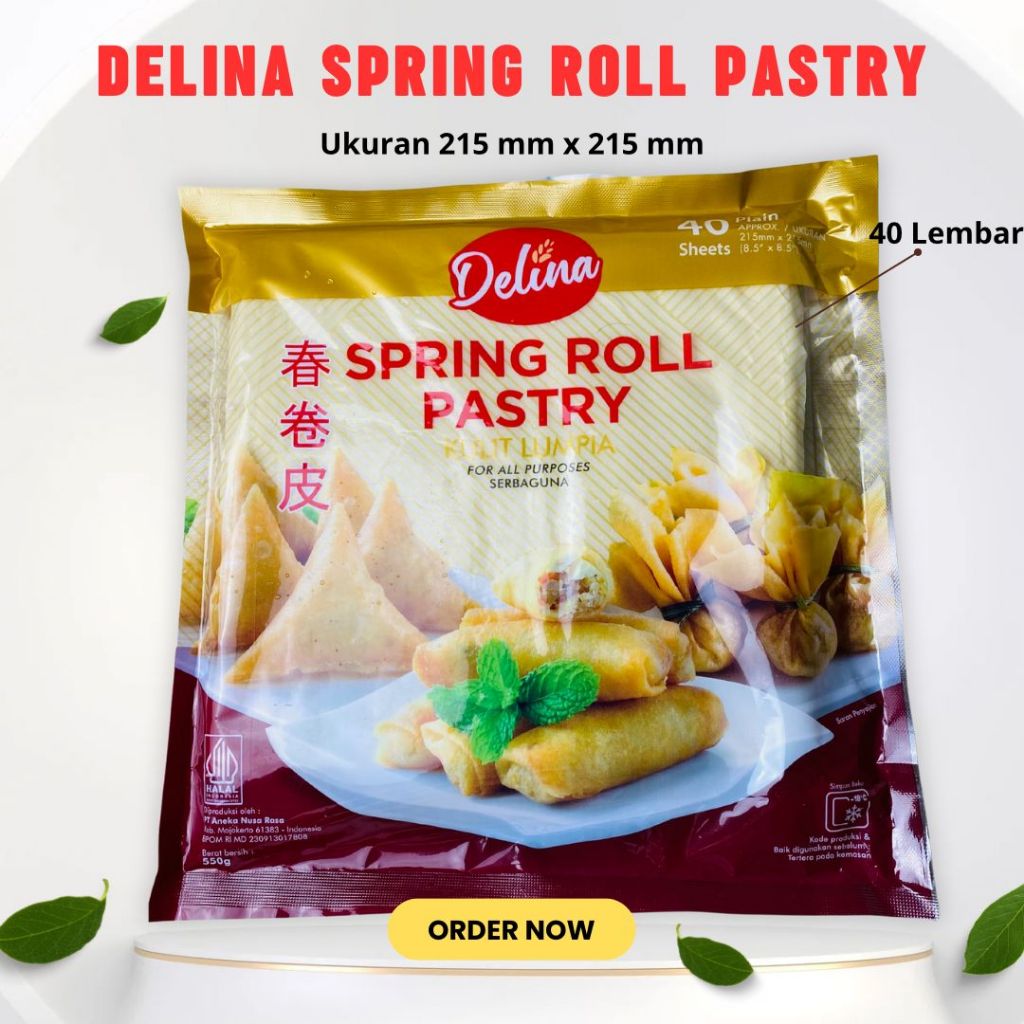 Jual Delina Spring Roll Pastry Kulit Lumpia 550 gr | Shopee Indonesia