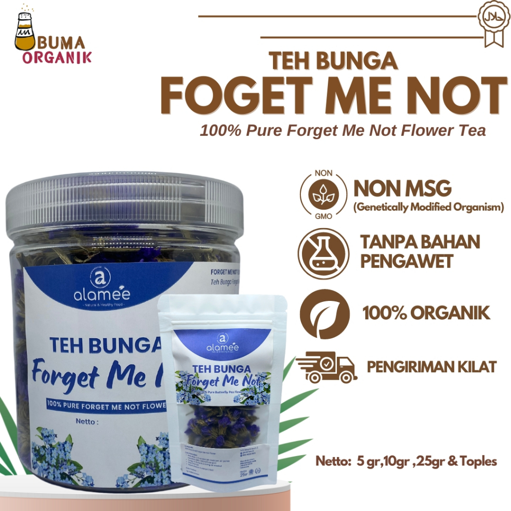 Jual Teh Bunga Forget Me Not Flower Tea Organik Kering Dried All Varian ...