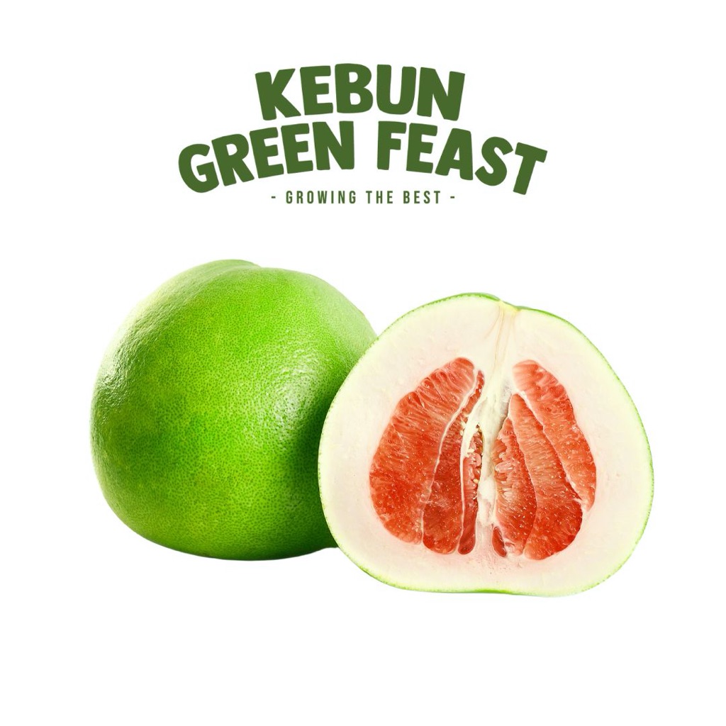 Jual Jeruk Bali Jawa - Buah Lokal Segar | Shopee Indonesia