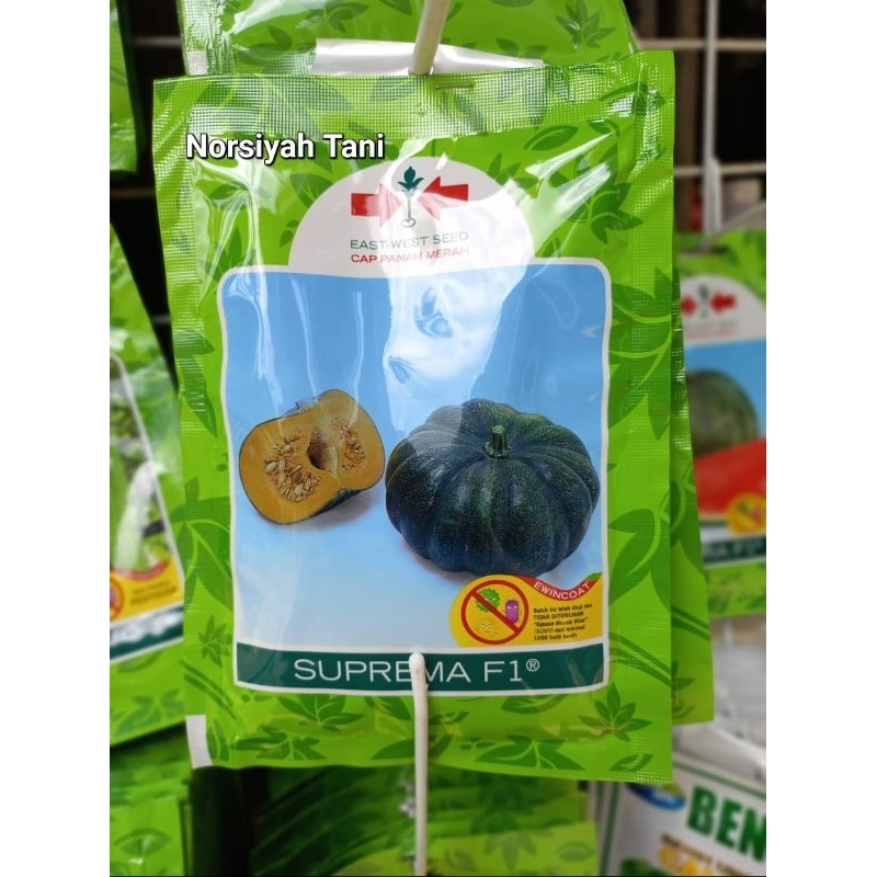 Jual BIBIT LABU / WALUH SUPREMA F1 ( isi 225 ) | Shopee Indonesia