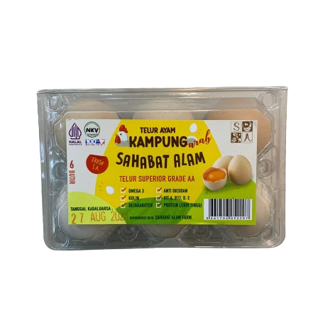 Jual Telur Ayam Kampung Arab 6's Pack | Shopee Indonesia