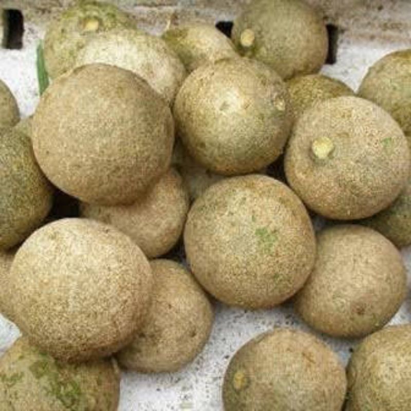 Jual BUAH KAWIS KAWISTA KISTO BISTAH MENTAH MATANG SEGAR ENAK VITAMIN ...