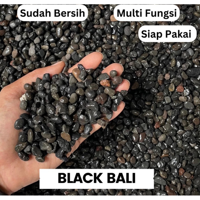 Jual Batu Hitam/Batu Hiasan/Batu Tanaman/Batu akuarium 420Gr | Shopee ...