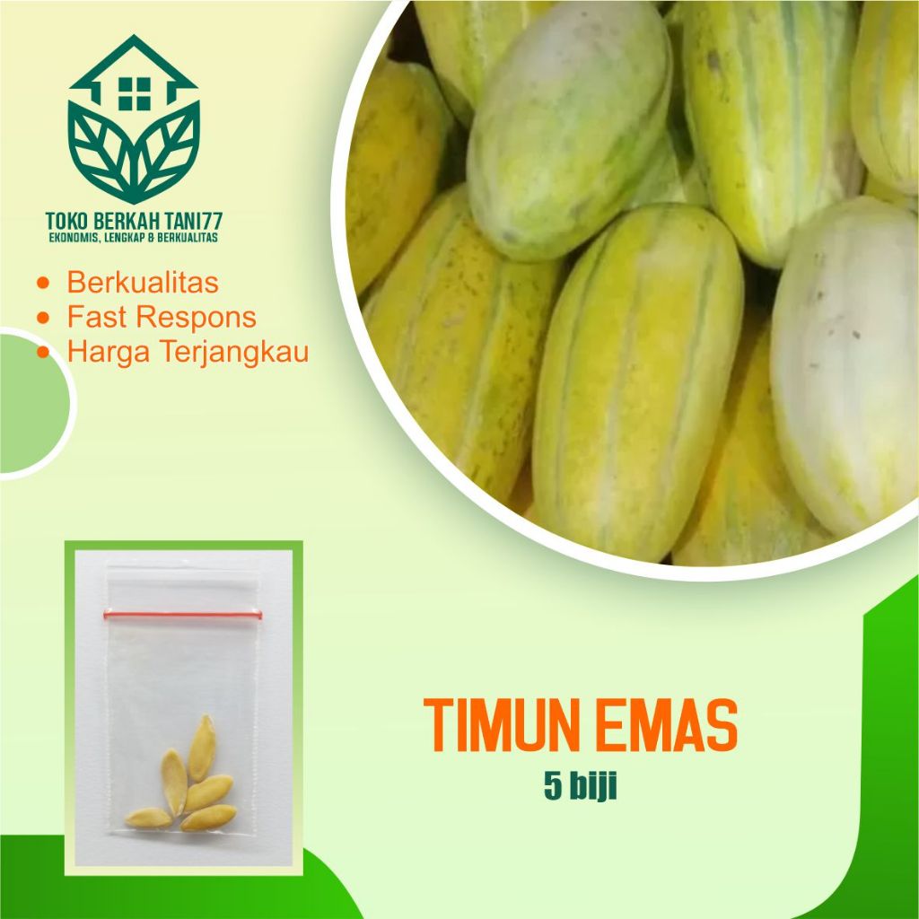 Jual Benih Sayur Timun Mas Benih Sayuran Timun Emas Bibit Sayur Timun ...