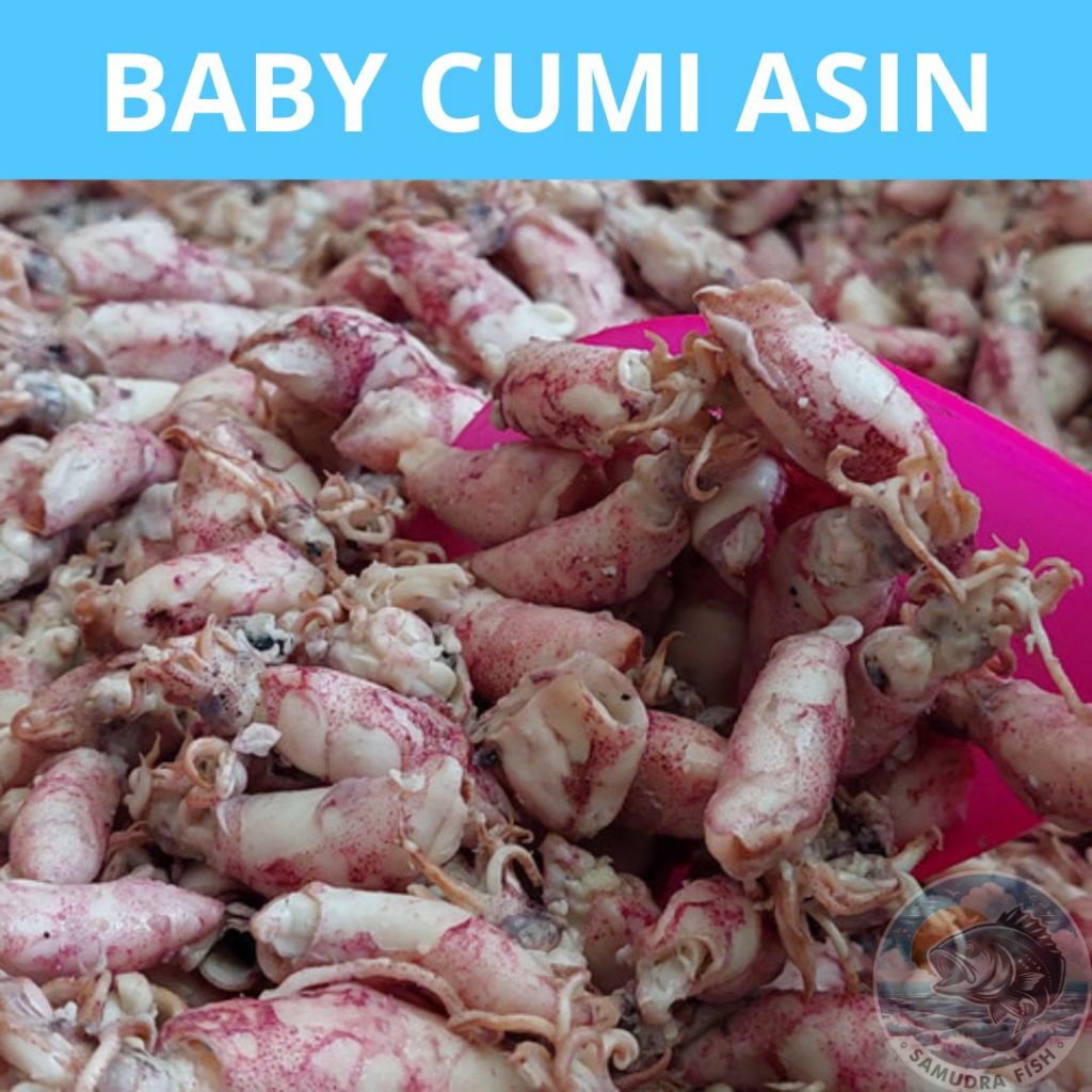 Jual Baby Cumi Asin Petelur PREMIUM 500gram | Ikan Semarang | Beli Ikan ...