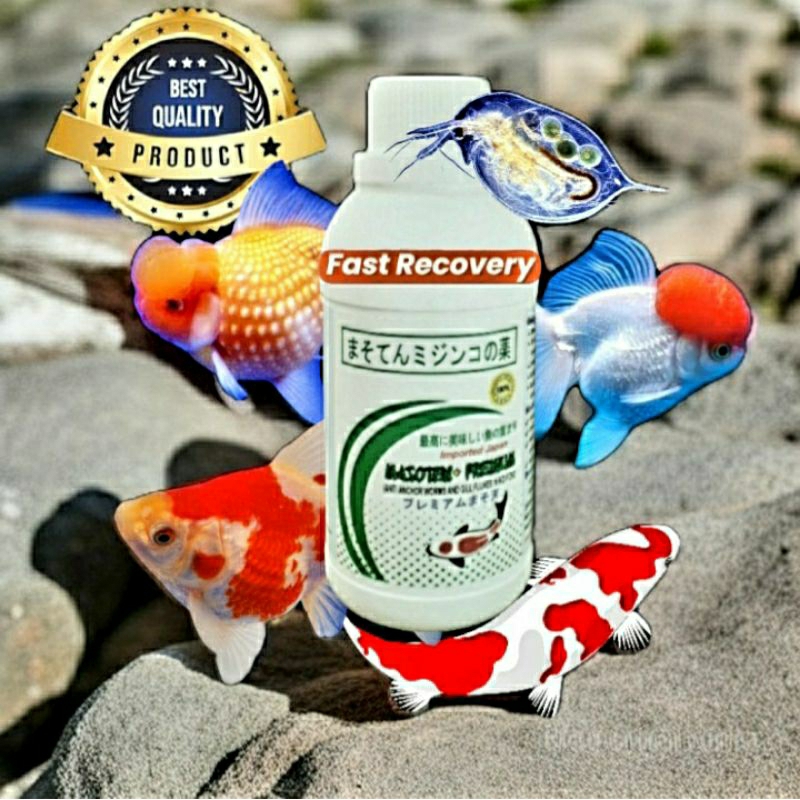 Jual obat kutu ikan masoten premium import japan 250ml koi,tamasaba ...