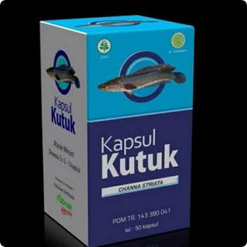Jual Kapsul Kutuk Mabruk (50 Kapsul) | Shopee Indonesia