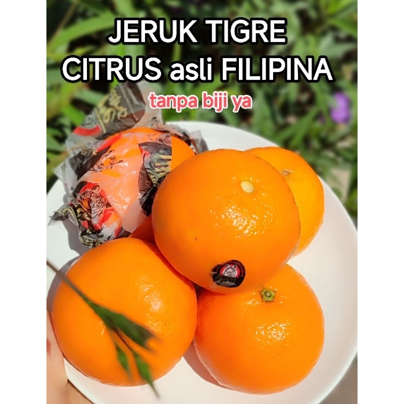 Jual Buah Jeruk Citrus isi 6pcs tanpa biji | Shopee Indonesia