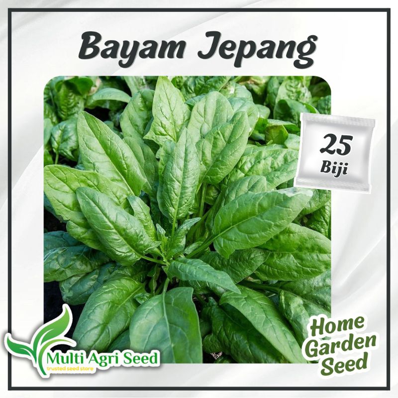 Jual 25 Biji Benih Bayam Jepang Bibit Bayam Horenso Bibit Sayuran ...
