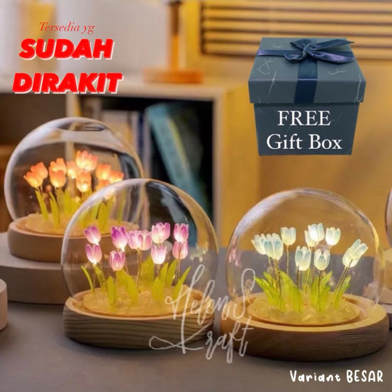 Jual [READY & FREE HARD BOX ️] DIY TULIP DOME / BUNGA TULIP / HADIAH ...
