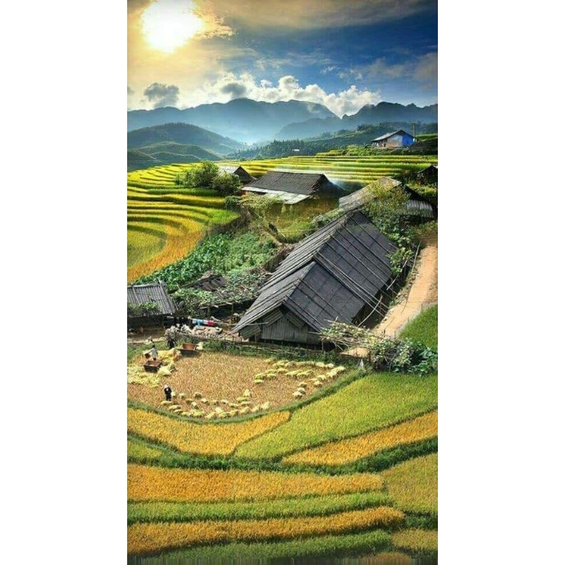 Jual poster cetak, PERSAWAHAN, hiasan dinding berbagai macam ukuran ...