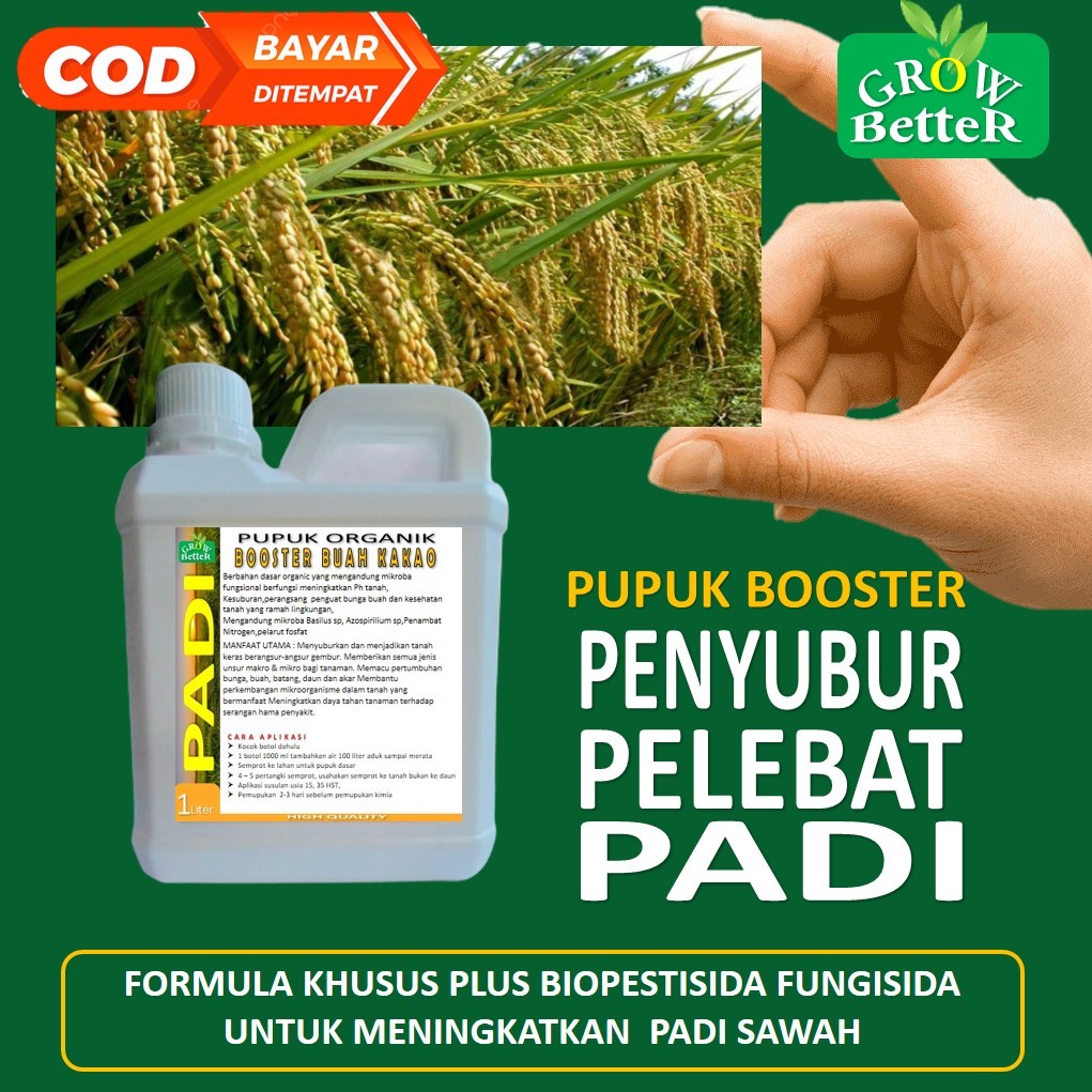 Jual Pupuk Organik Cair Booster Padi 1 liter Penyubur perbanyak anakan pelebat malai dan bobot ...
