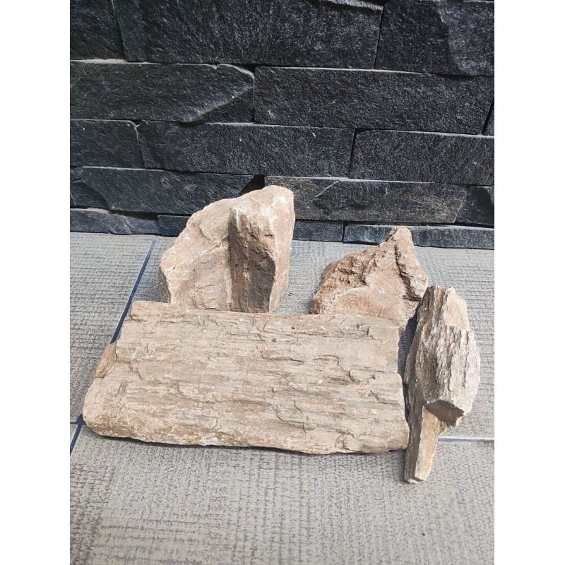 Jual Batu fosil serat kayu aquascape 1kg / batu fosil serat kayu / batu ...
