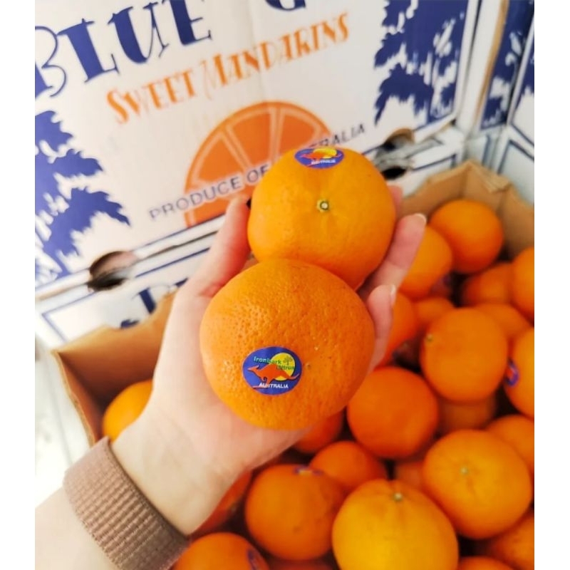 Jual Jeruk Honey Murcot Australia 1 kardus 8 kg | Shopee Indonesia