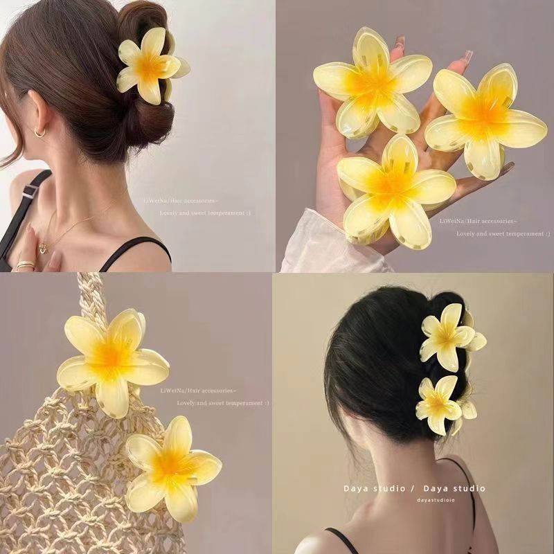 Jual Vary Vase Jepit Rambut Wanita Motif Bunga Kamboja Bahan Akrilik ...