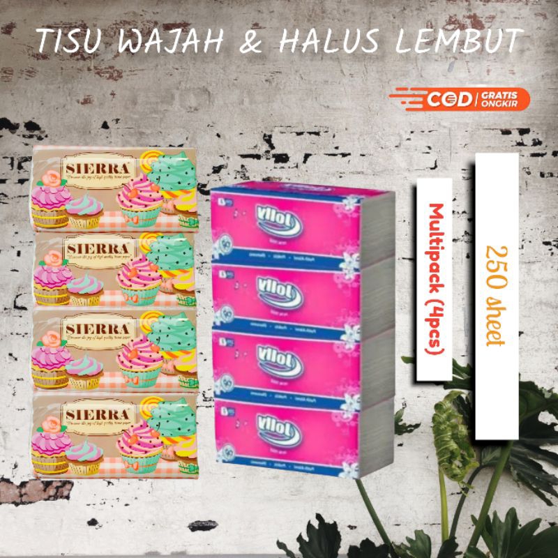 Jual Tisu Tissue JOLLY 250 PAKET 4 Sheet 2 ply | JOLLY 200 Sheet Paket ...