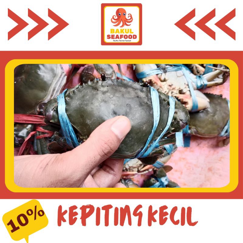 Jual KEPITING KECIL 500-1000GR | Shopee Indonesia