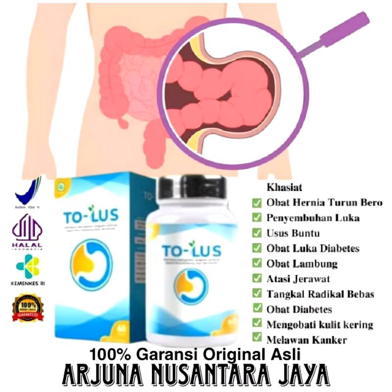 Jual TO - LUS Obat Asam Lambung Usus Buntu Akut Kronis Original Capsul ...