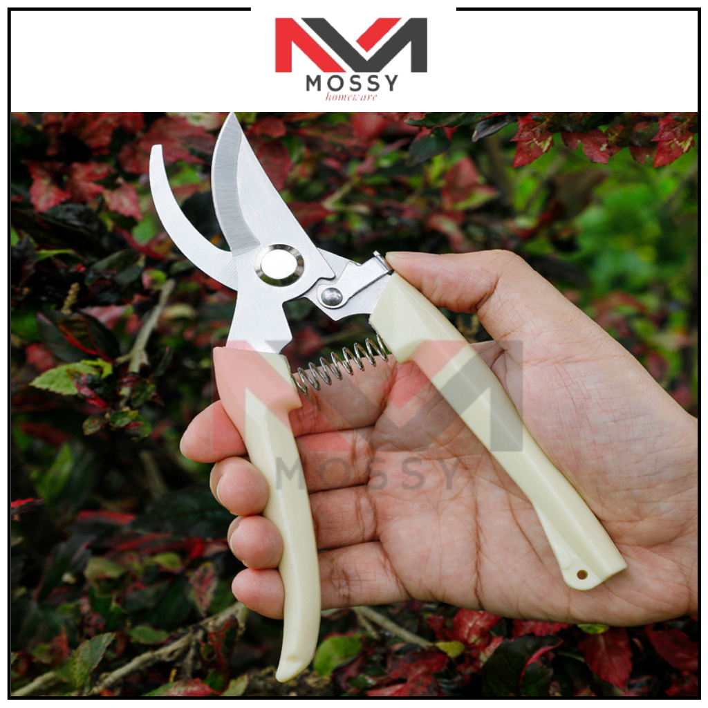 Jual MOSSY Gunting Dahan Ranting Pohon Pruning Alat Potongg Dahan ...