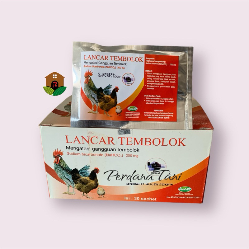 Jual Lancar tembolok / tele keras | Shopee Indonesia