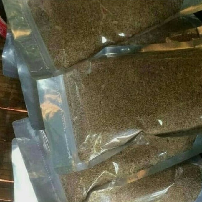 Jual Penawaran Terbaik Benih rumput signal grass vetiver akar wangi ...