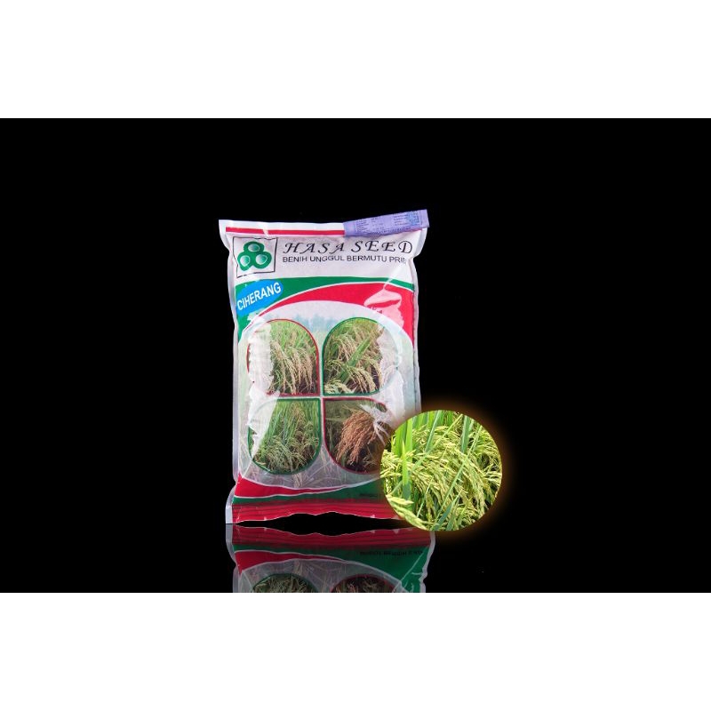 Jual Benih Padi Hasa Seed Kemasan 5 Kg Expired tangal produksi chat ...