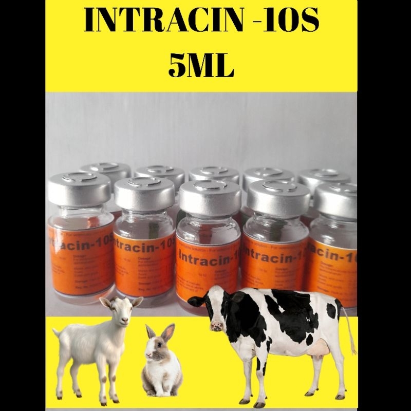 Jual Intracin-10S hormon perangsang kontraksi usterus dan kelenjar susu ...