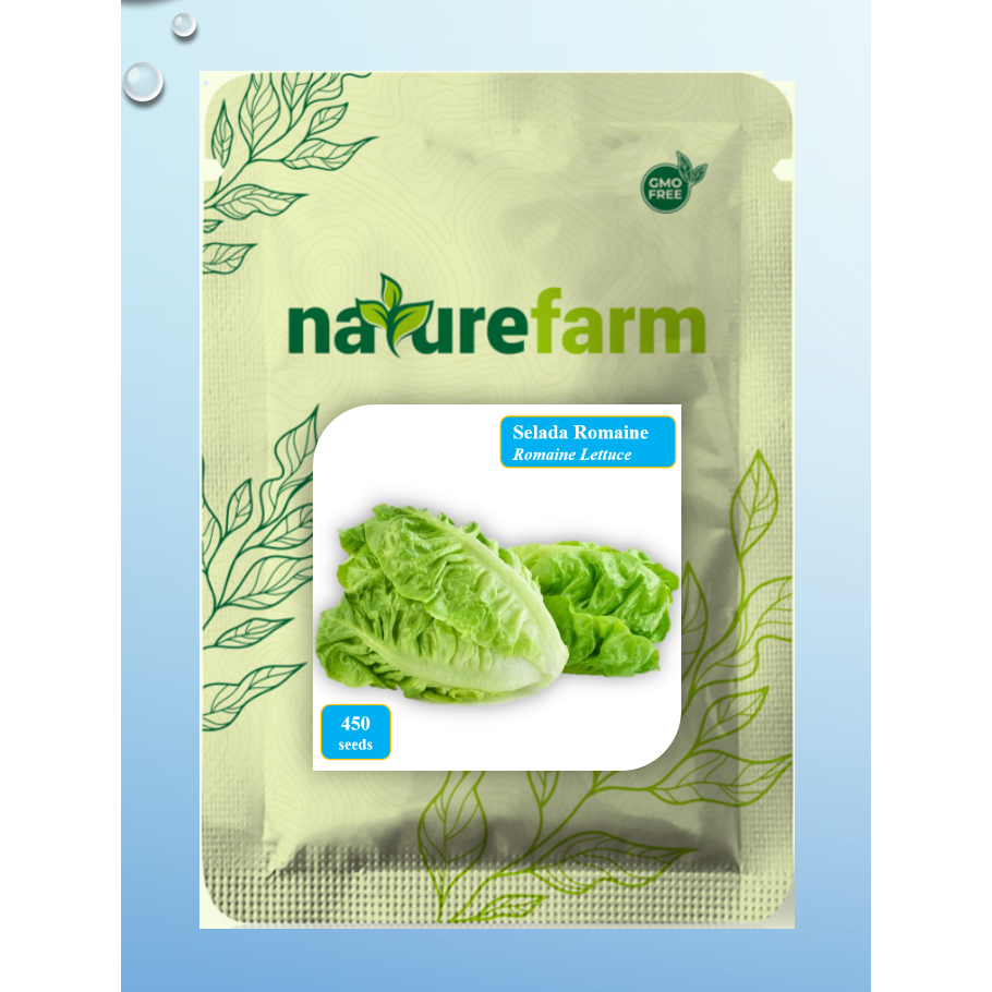Jual Benih Bibit Selada Romaine (Roman Lettuce) isi ± 450 seeds ...